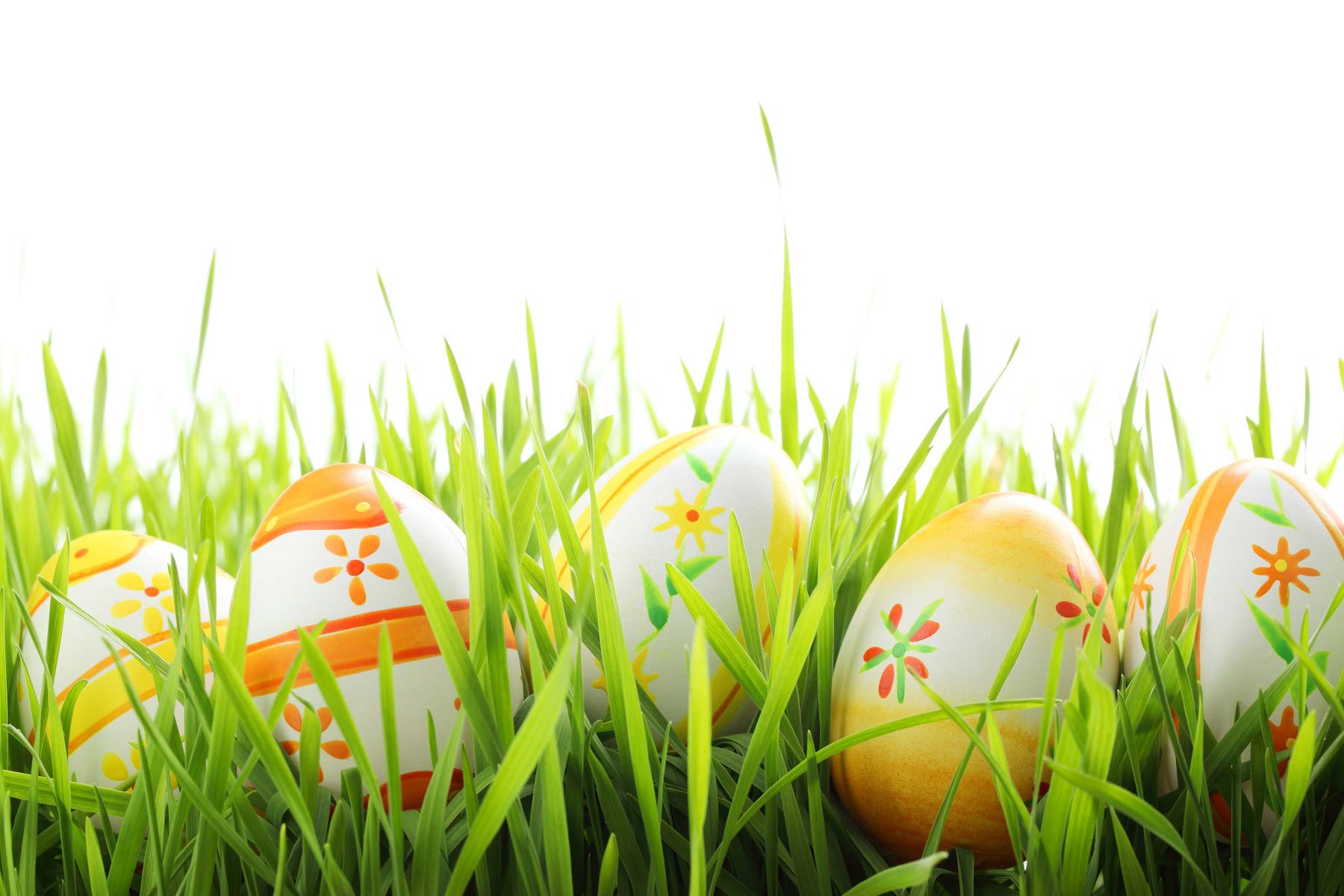 Easter Break In Cornwall | Easter Holidays | Kenegie Manor